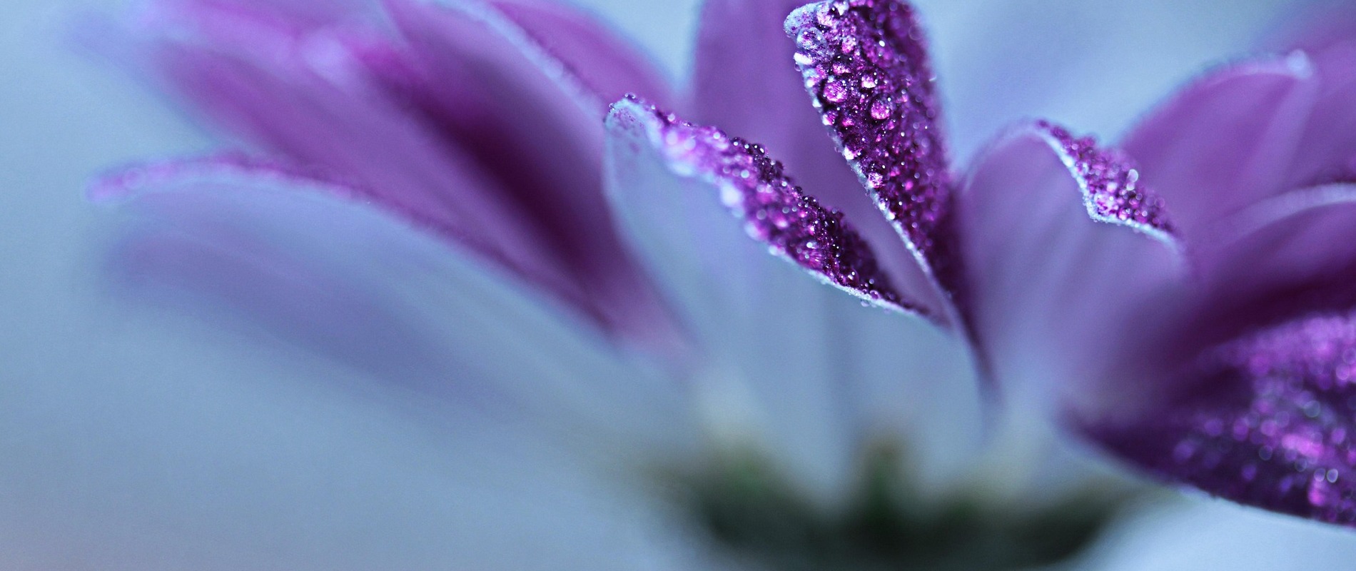 ADHD Counseling for Adults - Help to Manage Your Time & Emotions